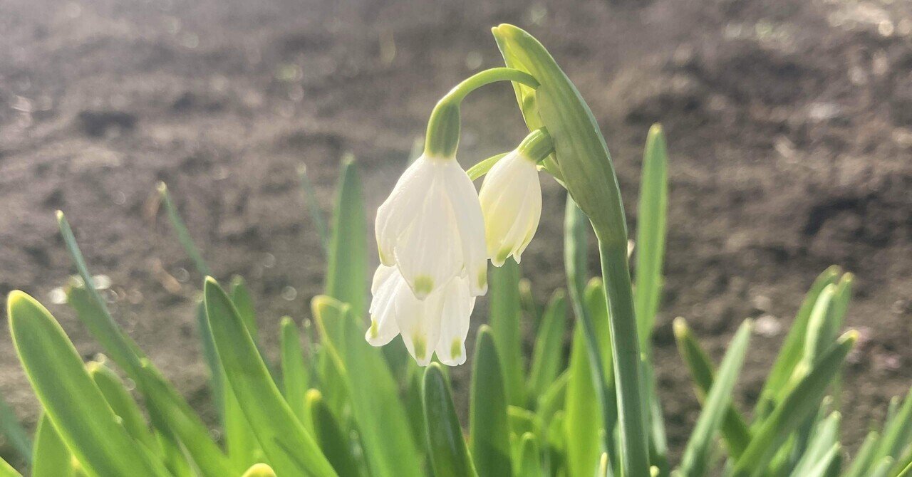 それでも自分を褒めてあげようと思った｜羽田りさ｜Risa Haneda