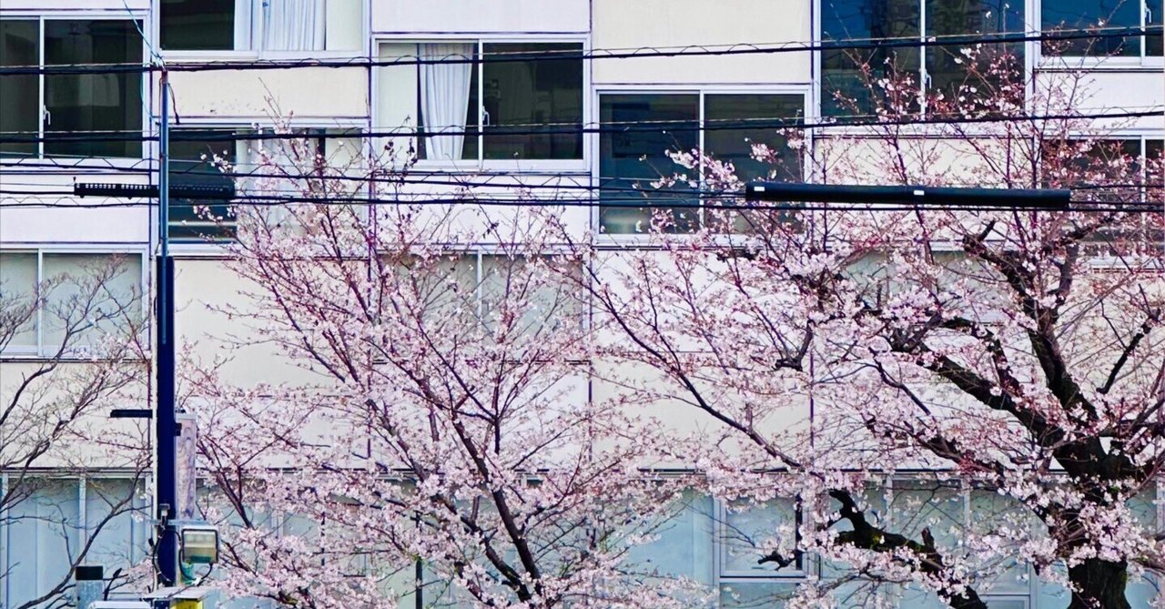 7年のポリフォニー｜Arisa Mitsui