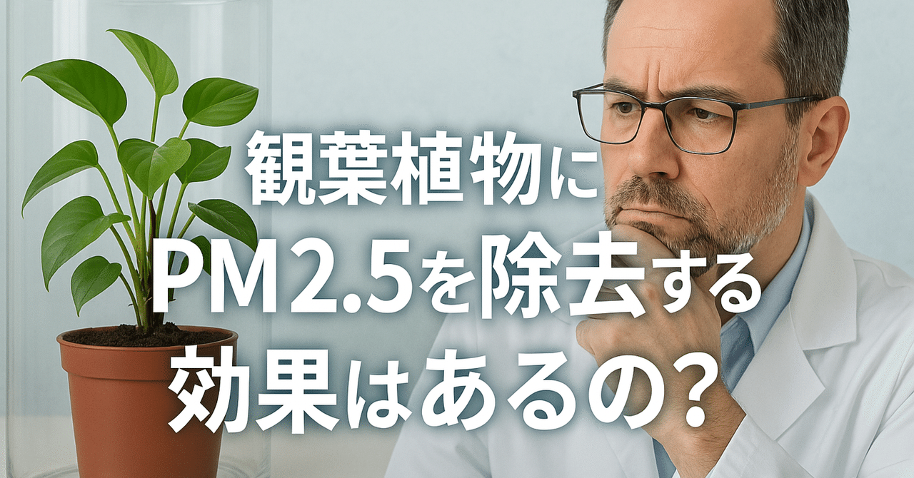 観葉植物に、PM2.5を除去する効果はあるの？：ニュースレター｜ほむほむ@アレルギー専門医