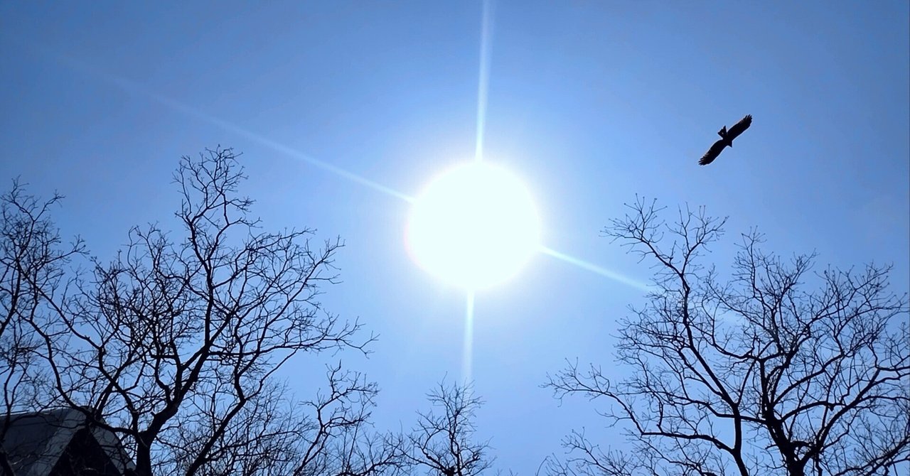 うつ病と発達障害日記 -冬季うつと過食とADHD加速と春の香りと-｜Kairi