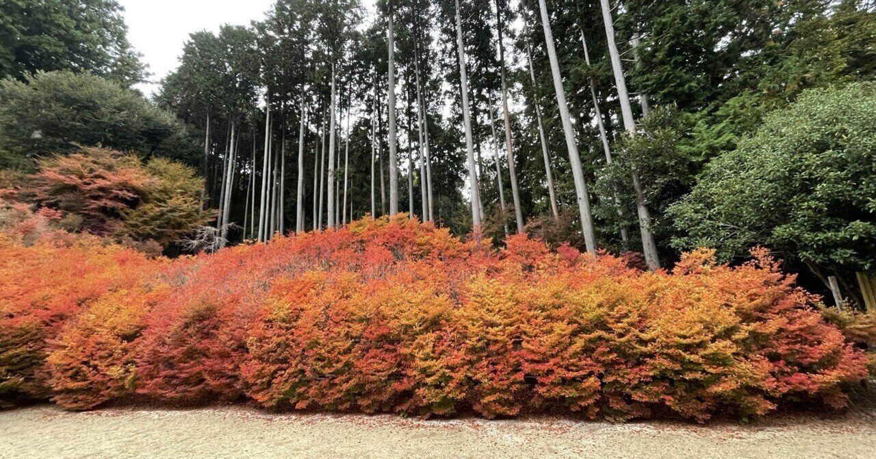 何もしないこと｜Pon Suke