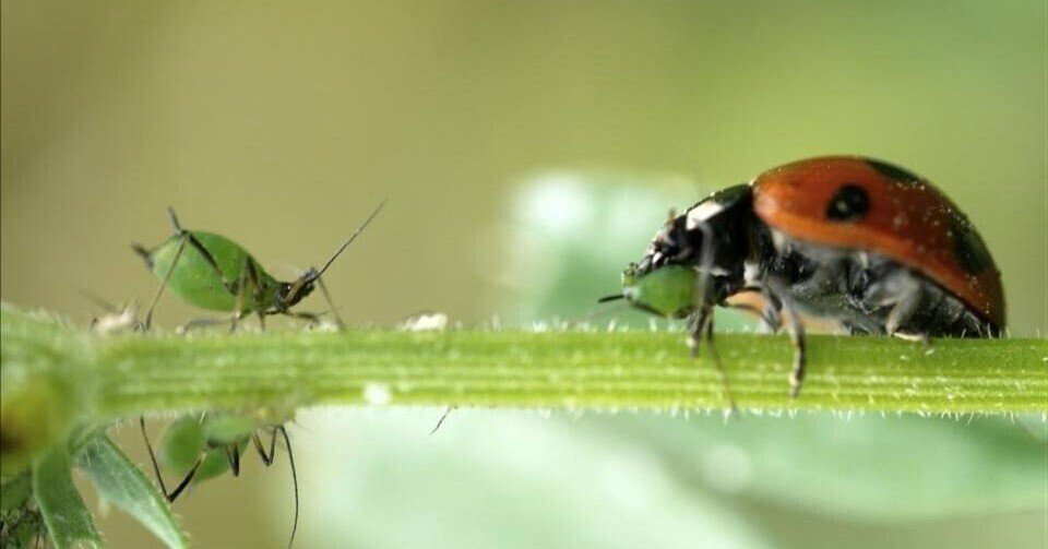 osamu.nakamura｜note