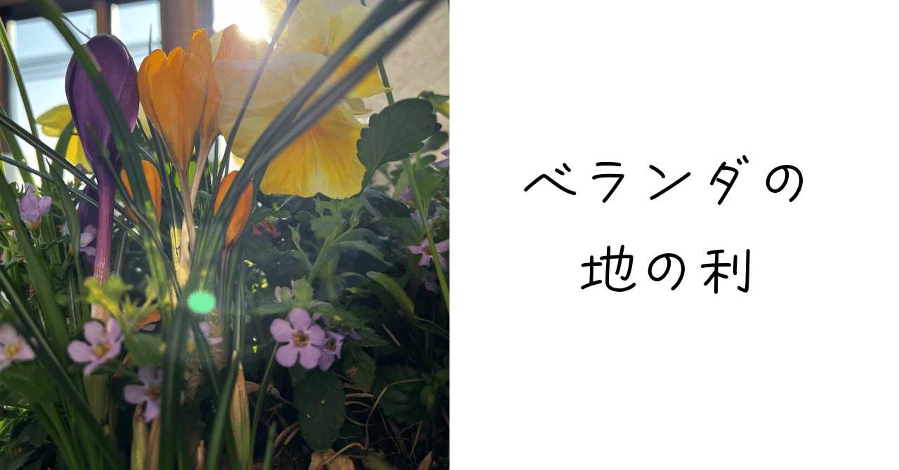 デスベランダの地の利を活かす。｜Ms'HIRO