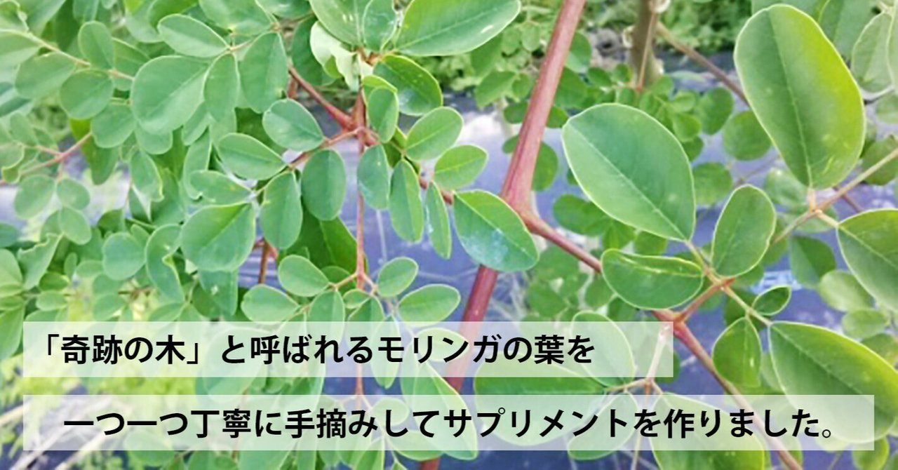 『免疫力が落ちやすい』 ｜mopri