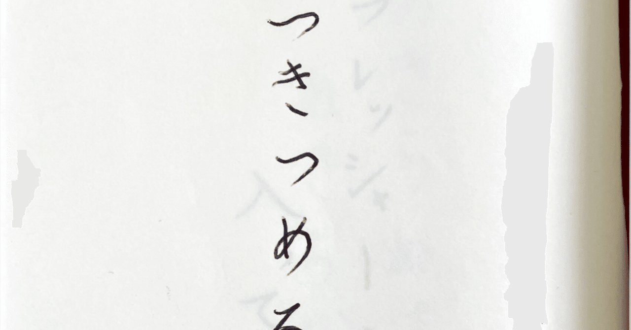 しつけ帳22番｜Keiji 吉澤敬二