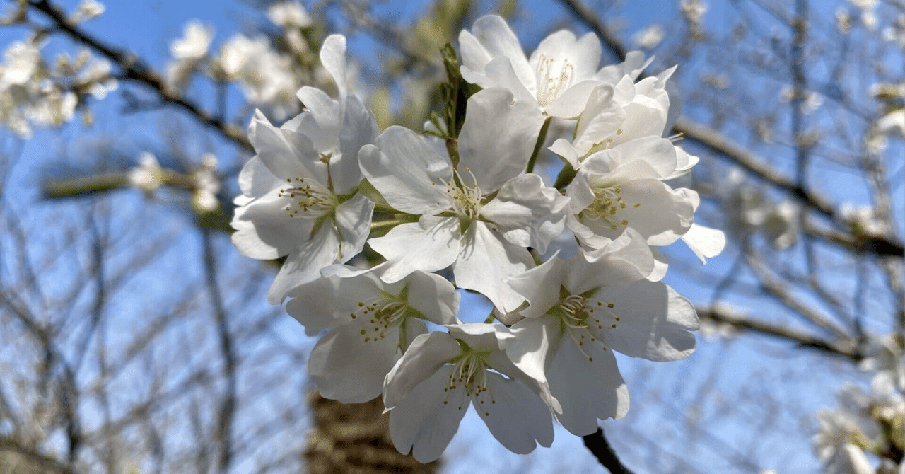 夏時間！｜Yukiko