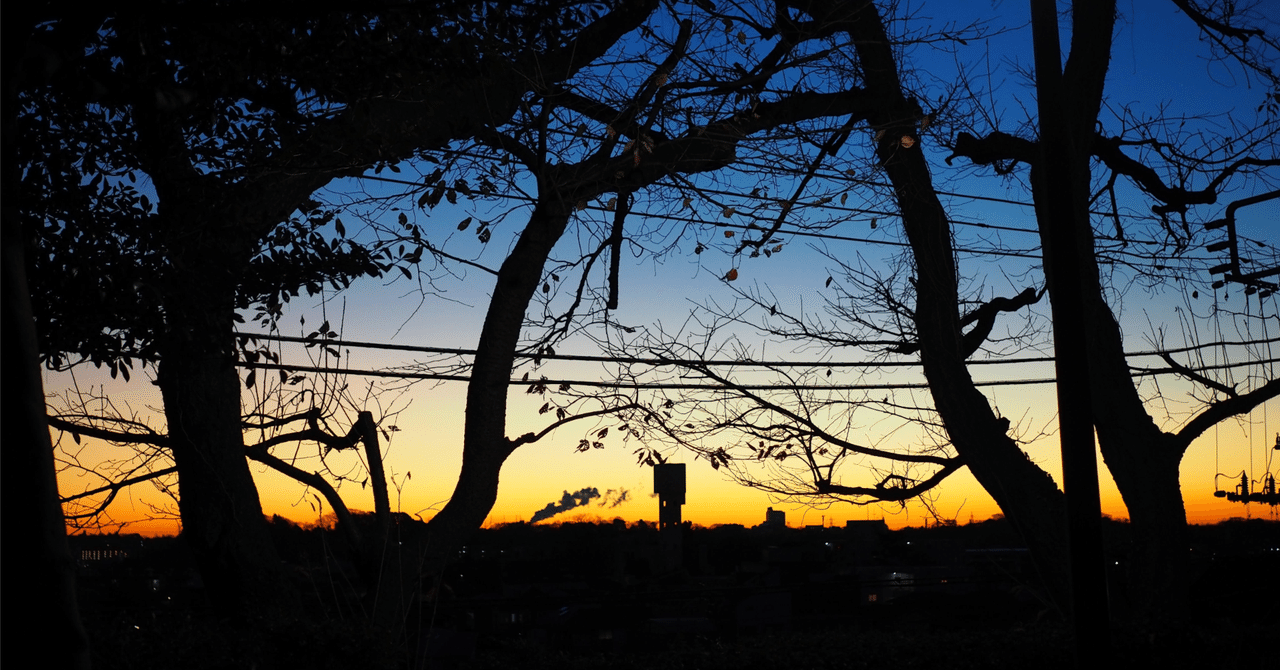 入管収容所死亡事件 一覧｜koichi_kodama