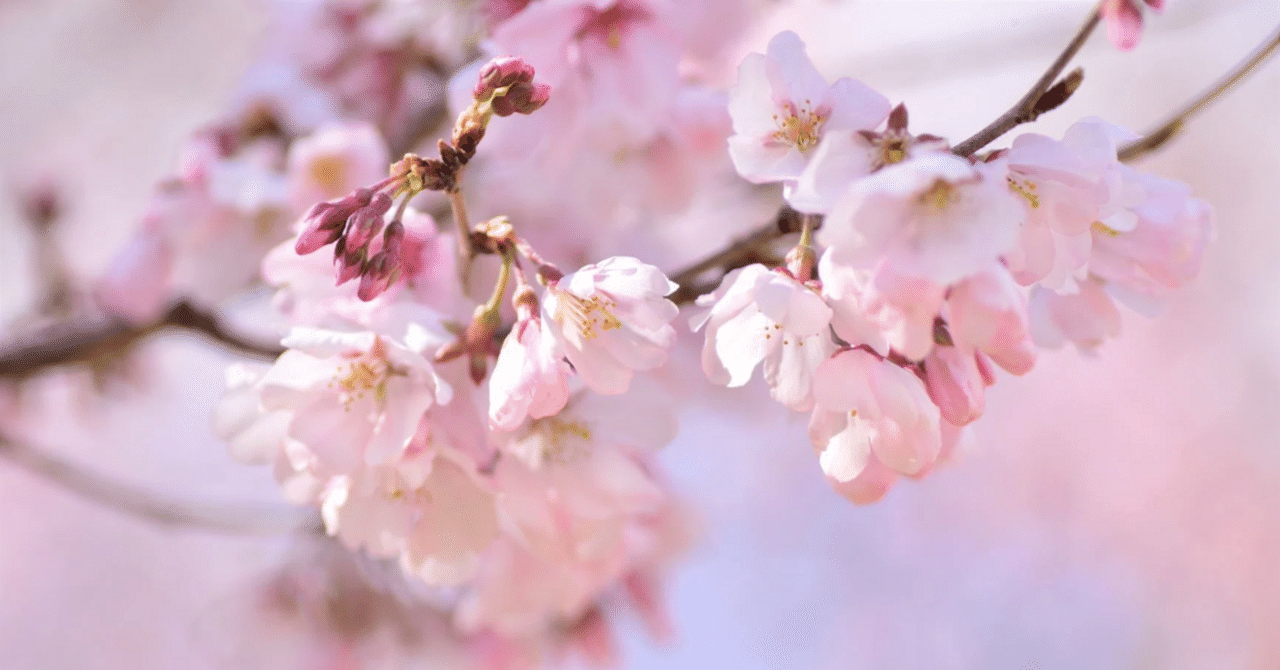 【エッセイ】いつでも逢える。｜Tsukuda.Manami