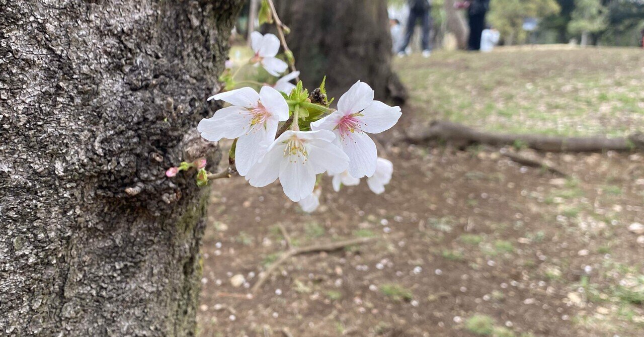 明日から｜aiiiii