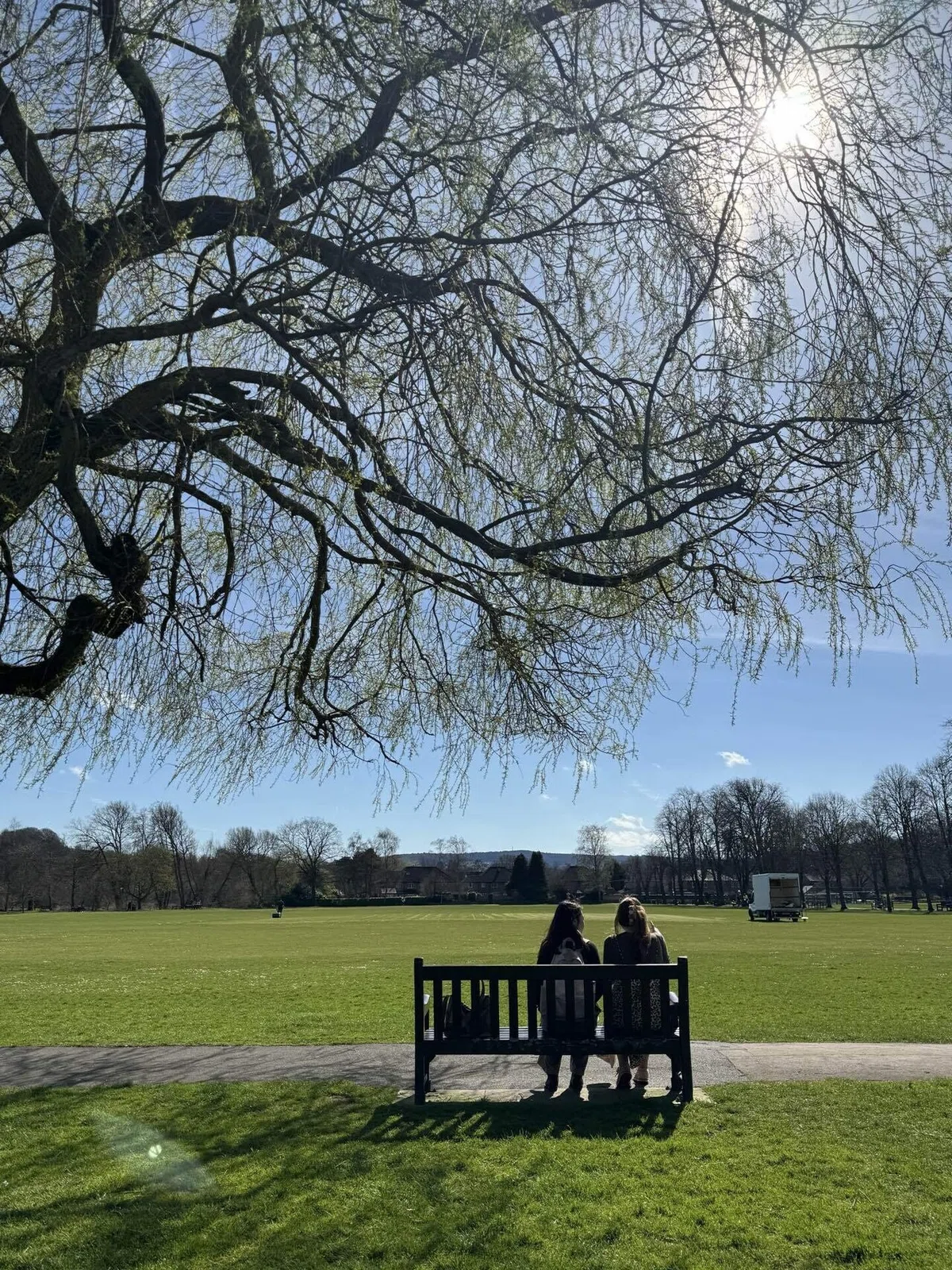 イギリスでも桜は咲く｜chika@UK🇬🇧