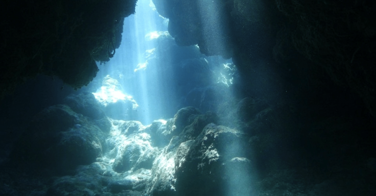 noteをスタート⁎⁺˳ ༚｜!zooooo