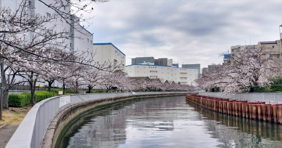 花巡り〜江東区・中央区〜｜Toru Shiratori