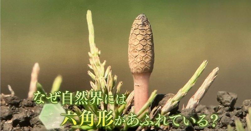 蜂の巣」の人気タグ記事一覧|note ――つくる、つながる、とどける。 蜂の巣」の人気タグ記事一覧|note ――つくる、つながる、とどける。