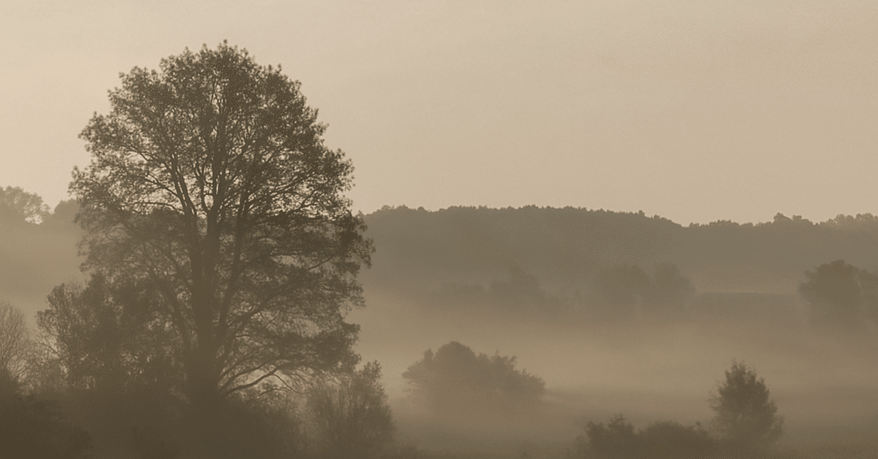 「ふれてしまったあと」から、世界は静かに書き換わる。── 苫米地理論で読み解く、“Révia Lux”という変容のしくみ｜Khronos_Hiro