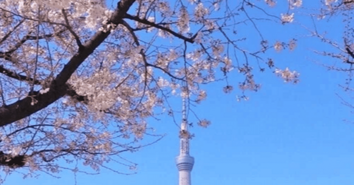 4月1日 船橋4R C2｜GAMERA777