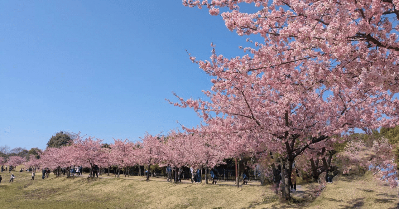 3行日記（2025.4.1）｜雪月 | Yuzuki