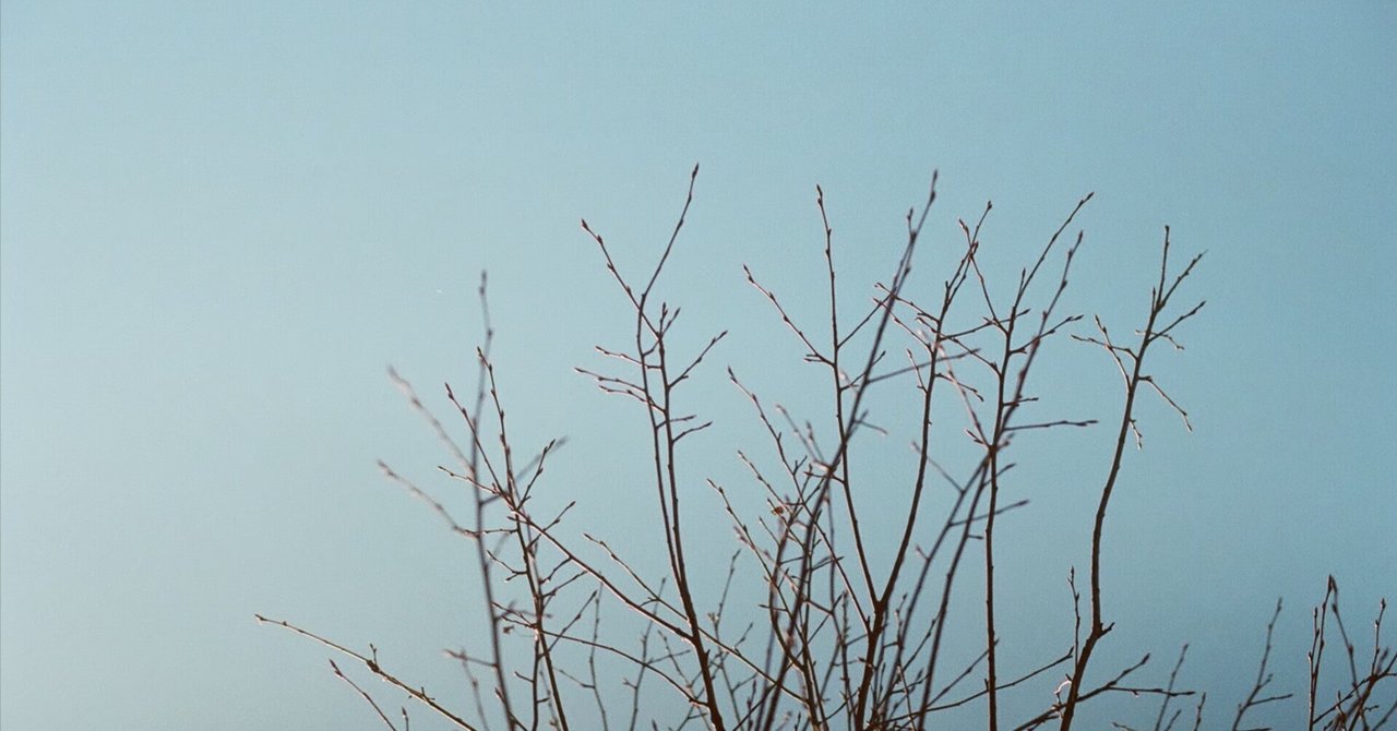 悲しい時は愛おしい時｜菊池操/ Miaso Kikuchi