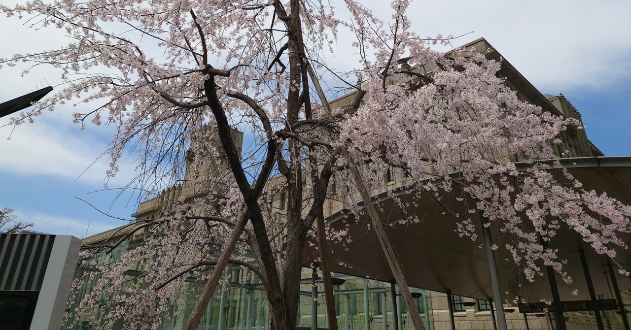 'Noblesse Oblige'という考え方｜Arie