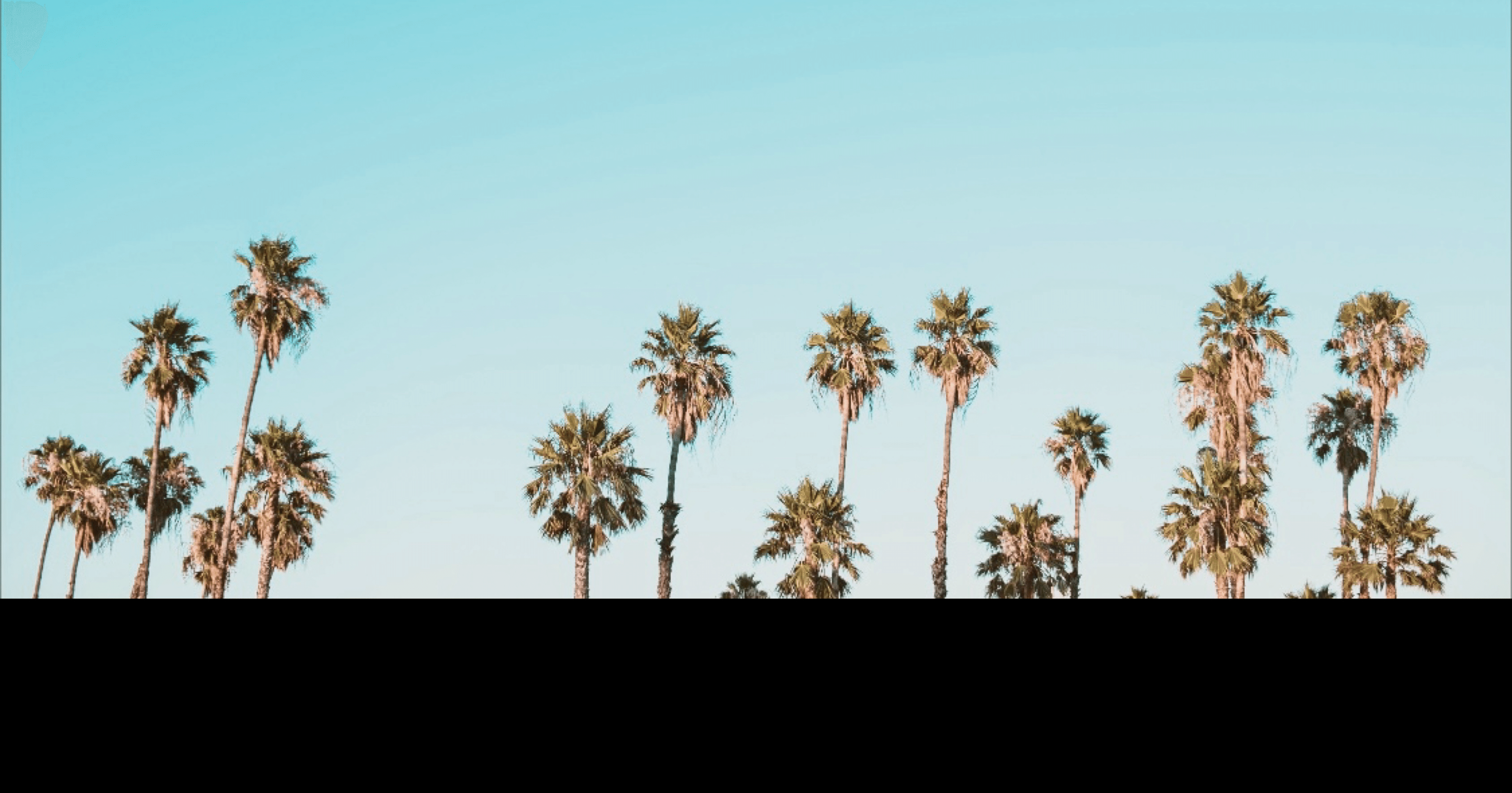 繊細さん専門コーチ Nozomi｜note