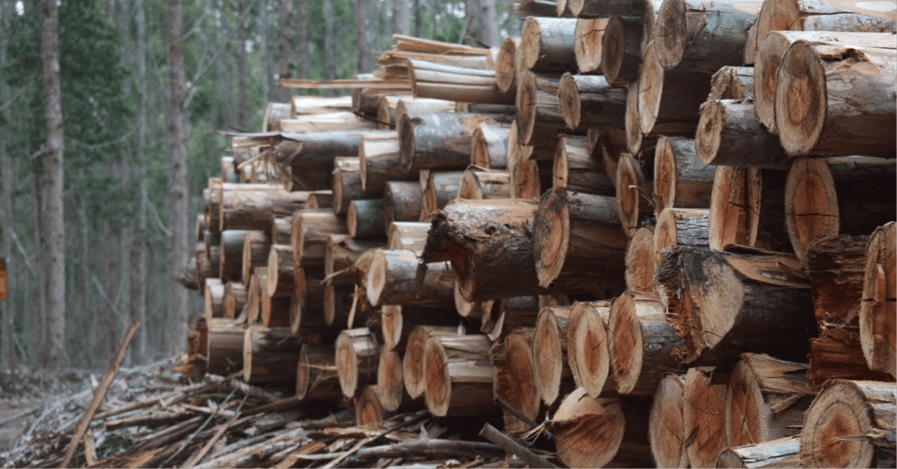 森林ビジネスの罠─兵庫・分収造林に潜む765億円の影 (1)｜Akira Asami