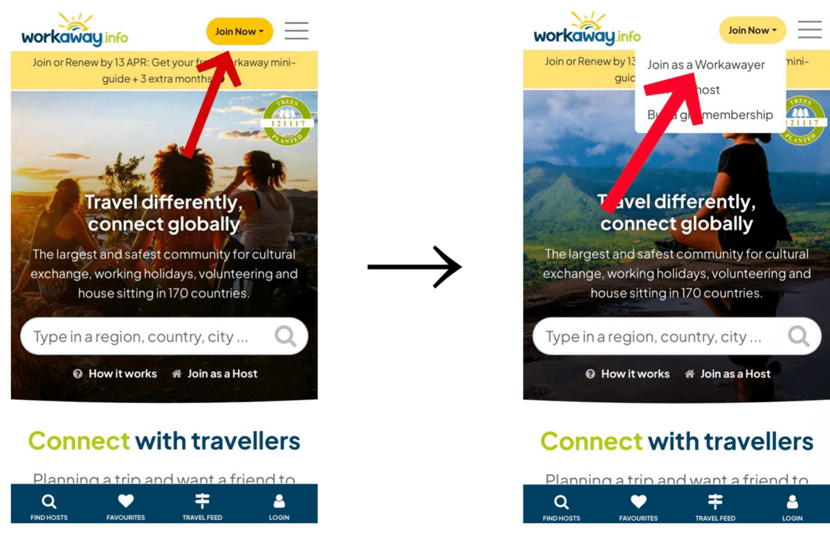 workaway登録方法・使い方をゼロから完全解説｜ホスト探しで失敗しないためのコツも紹介｜のぞみ