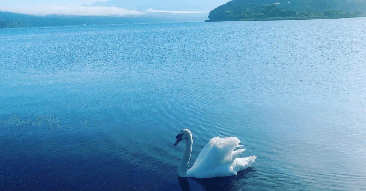 仕事への感謝、愛を深めるワーク｜Obsidia Mayumi