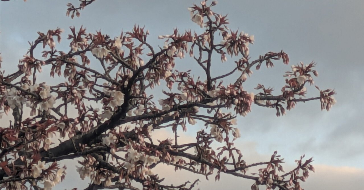 「織田作之助賞」受賞作家の小林長太郎と彼が残したブログ「負荷」と記事を忘れない〜#418｜ichiro70