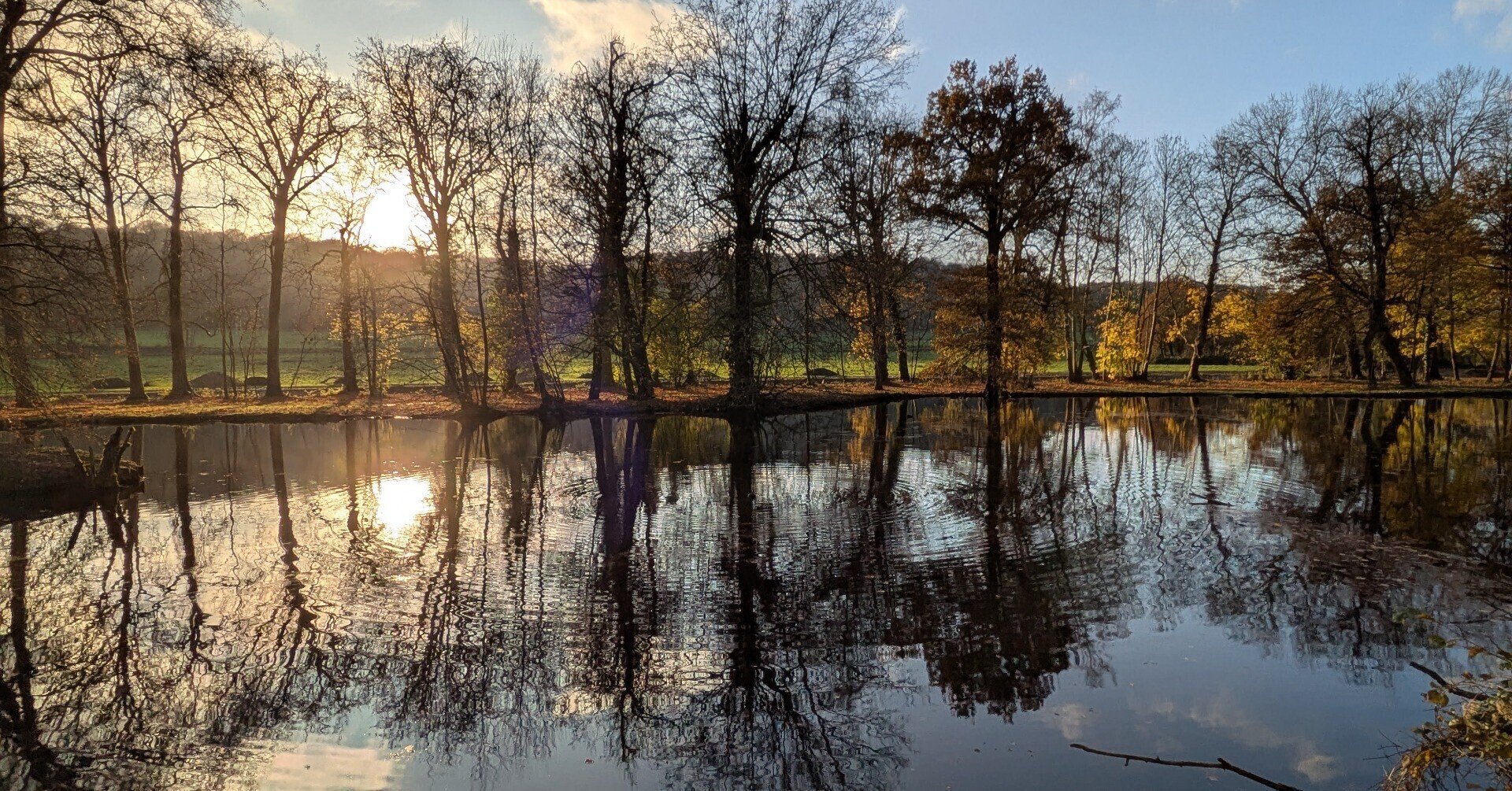 伊藤大樹｜Daiki ITO｜note