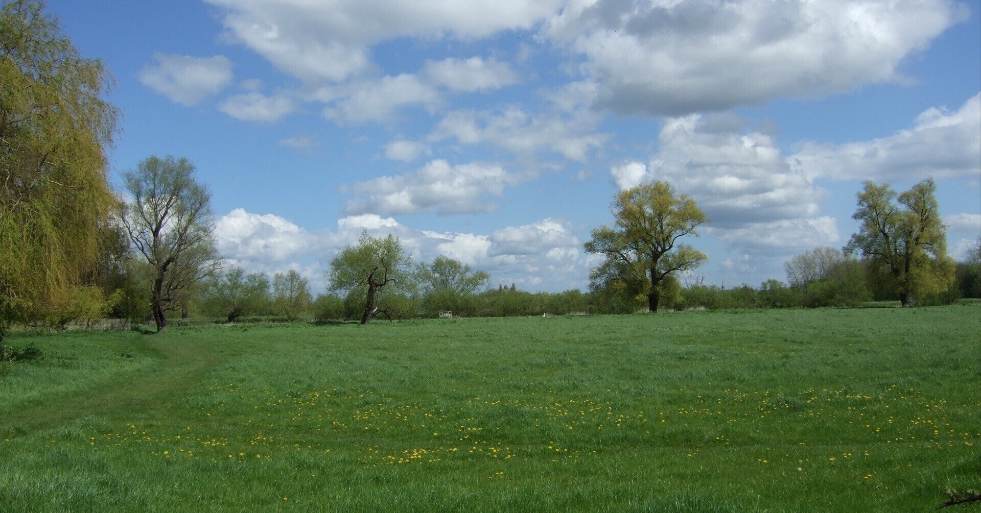 pon（ポン）｜note