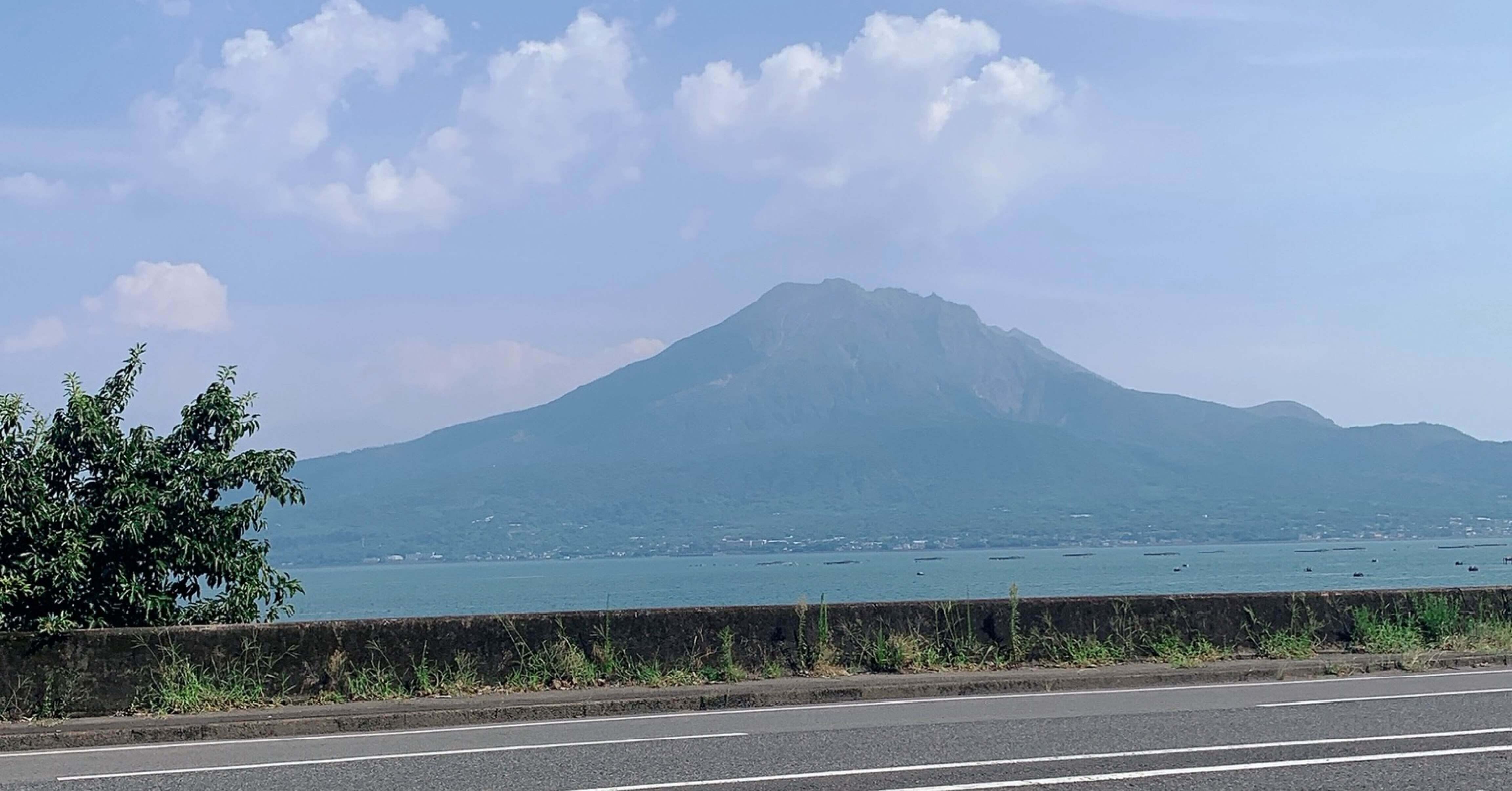 SANA_rhino5264｜note