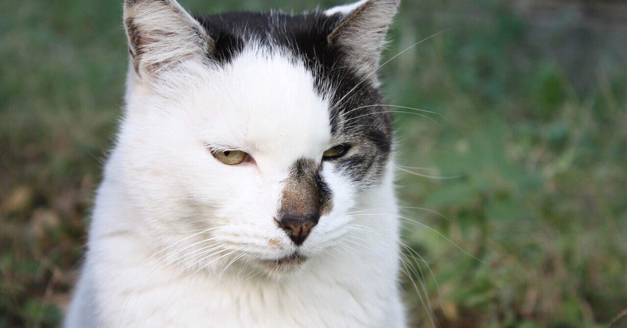 ステキなフォトにタイトルを ️228｜Seiji_Kansai travelers