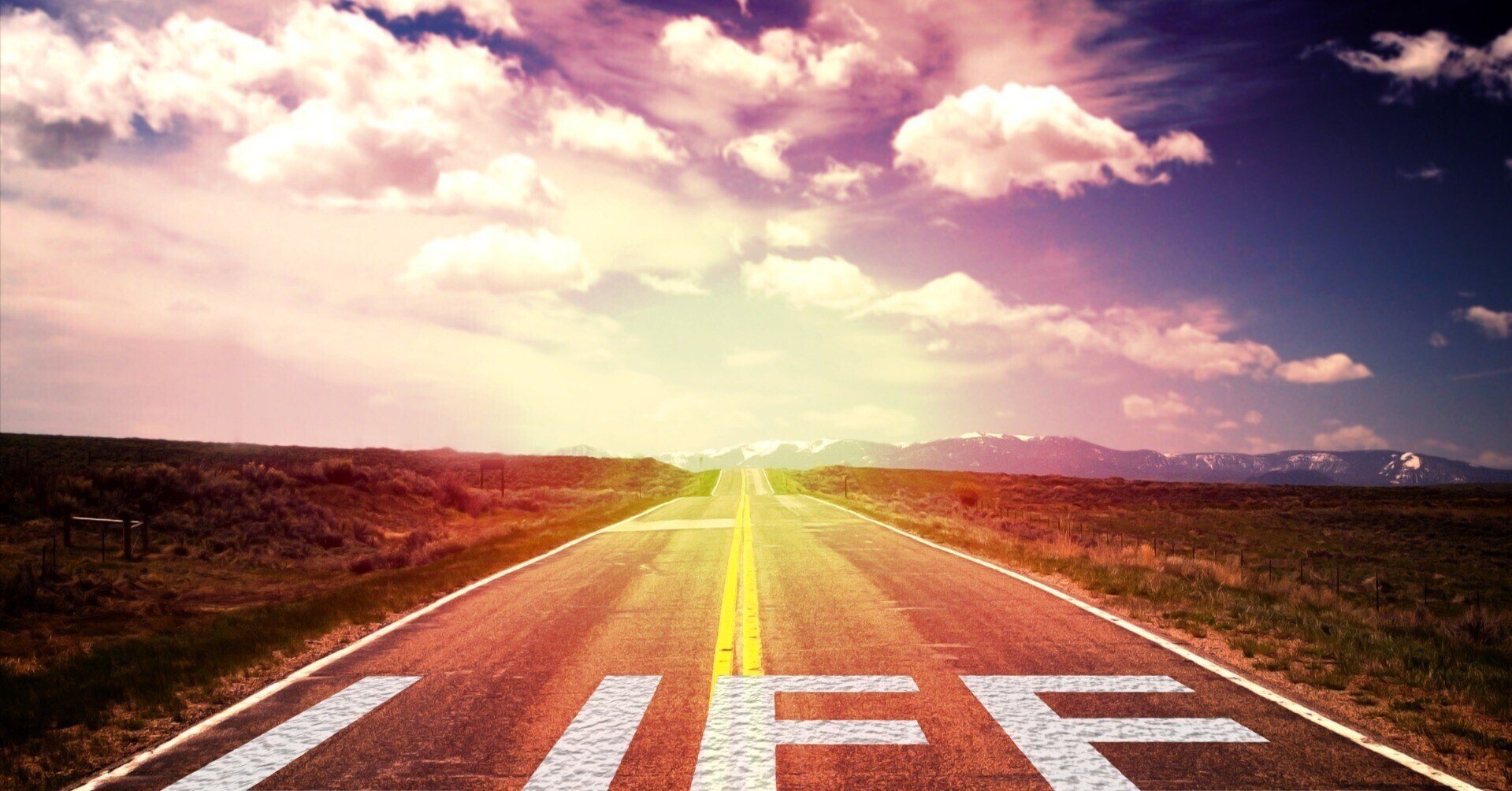 Roco｜ミドル転職のリアル｜note