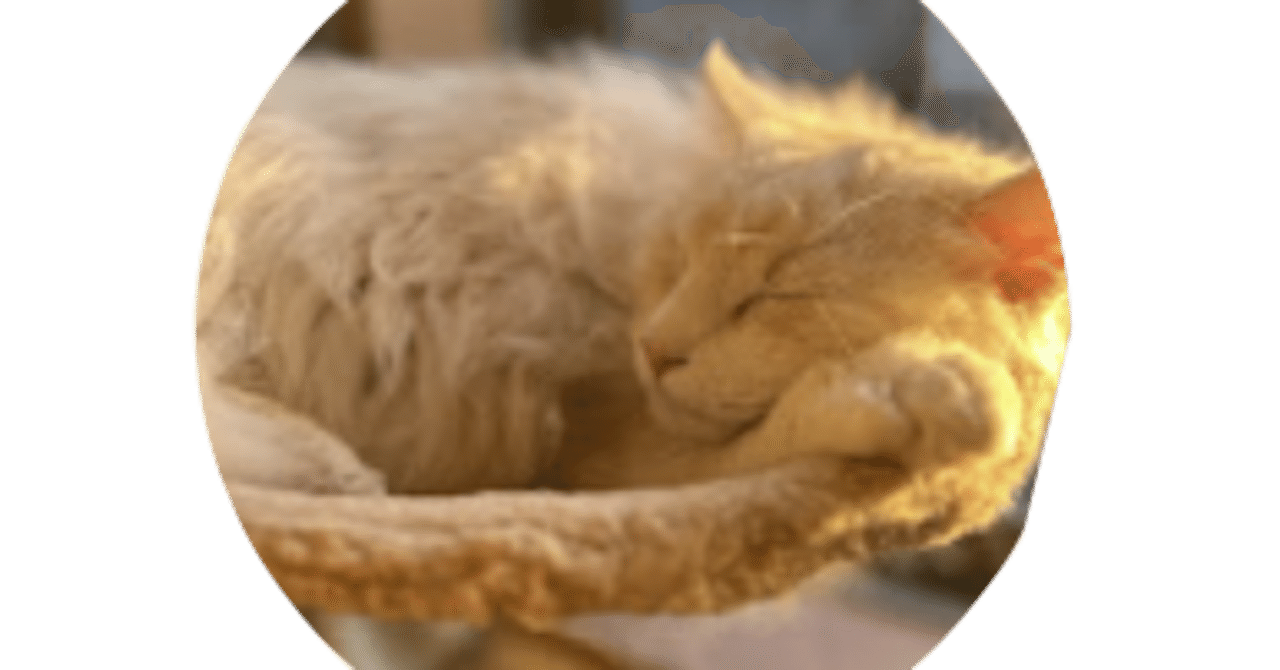 The Dawn of the Huntパッチノート｜CATgaming