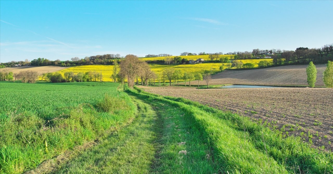 フランス巡礼 ルピュイの道 Chemin de Le Puy 20日目 La Romieu → Larressingle｜旅する巡礼者
