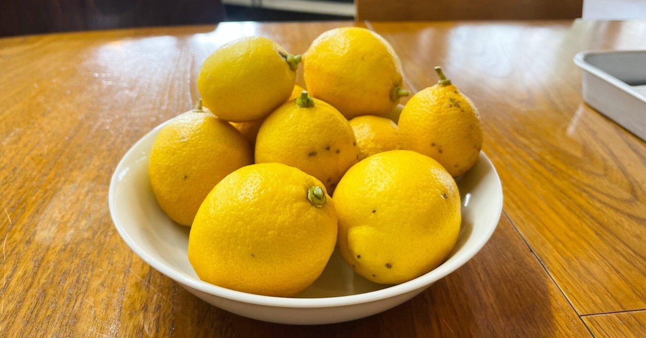 目を閉じて、レモンの香りとともに、遠い昔のスッキリとした記憶。14_March｜PILE -A collaborative studio- 企画_月曜日のNewなワタシ