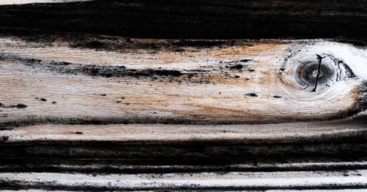 040325_diary@tottori｜RyO