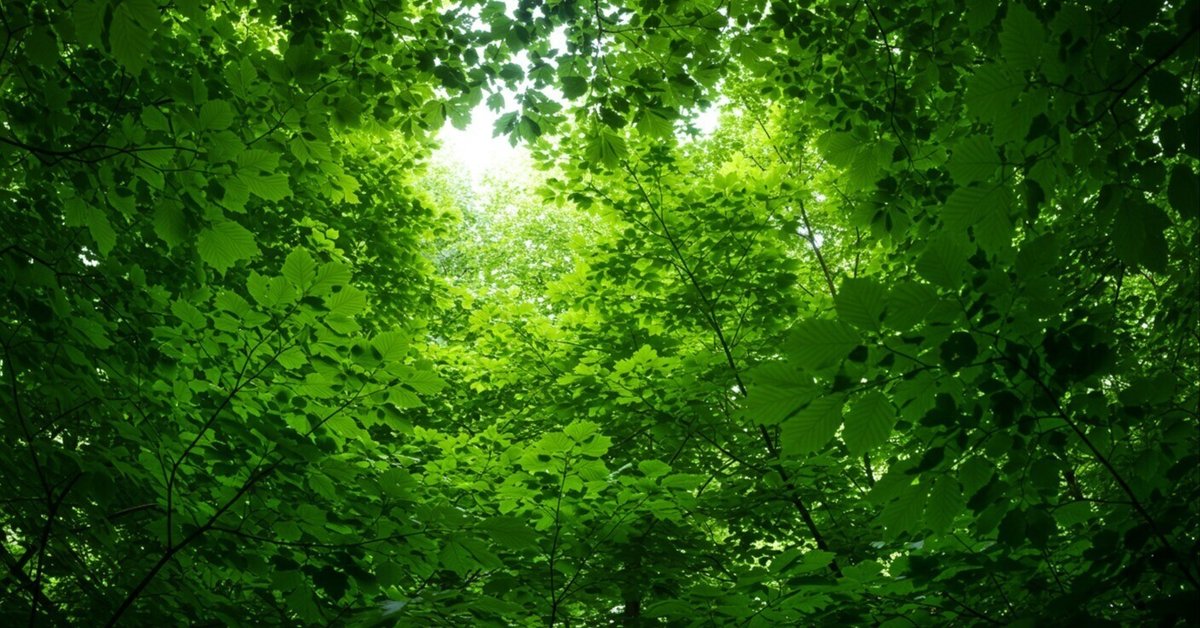 スティーブン・ミラン論文｜ピヌサン（PN3）TANAKA Ichiro