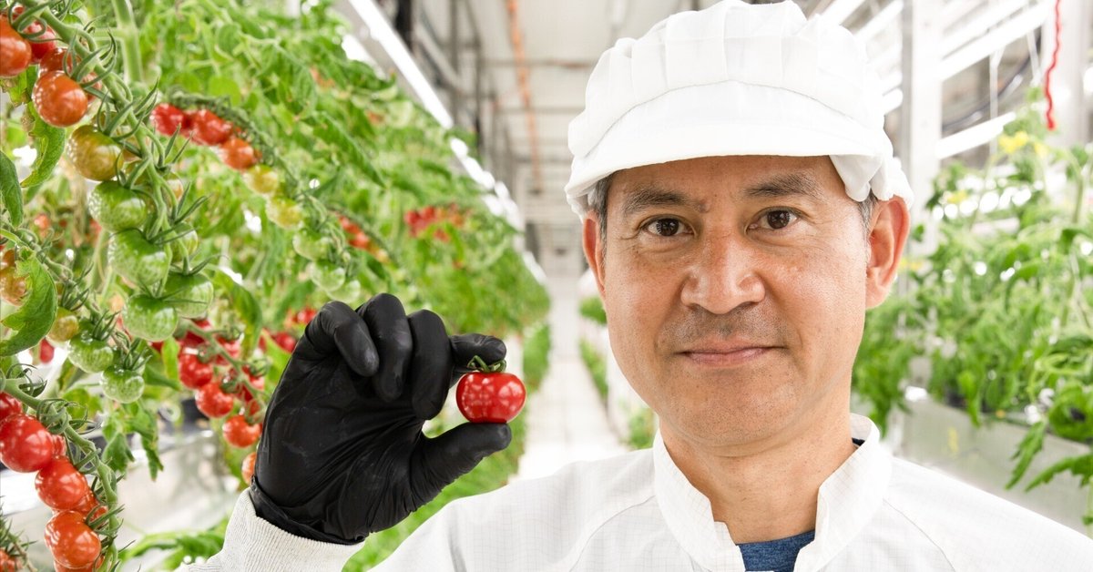 世界中の子供たちに喜んで食べてもらえる、おいしいトマトを作りたい。原体験に根差した情熱が生んだRubī Tomato｜Oishii Farm