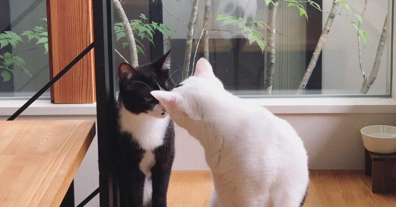 おセンチな恋愛小説。｜Chiizz