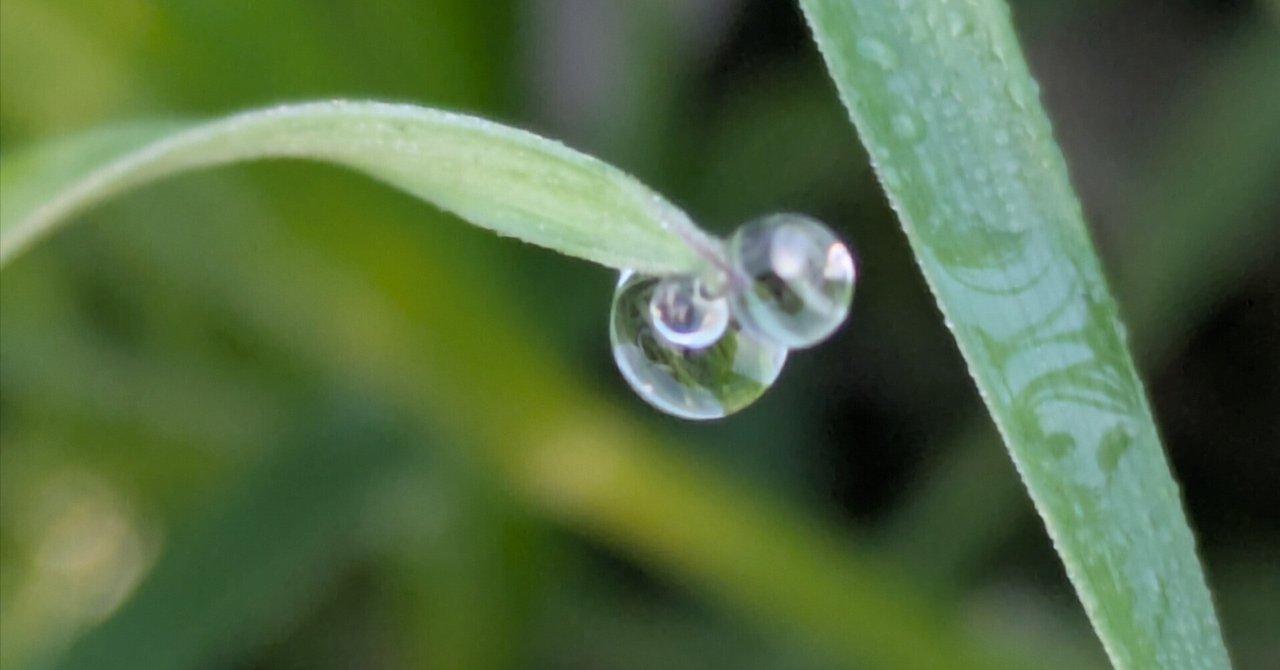 水滴美術館〜ニコイチ｜ichiro70