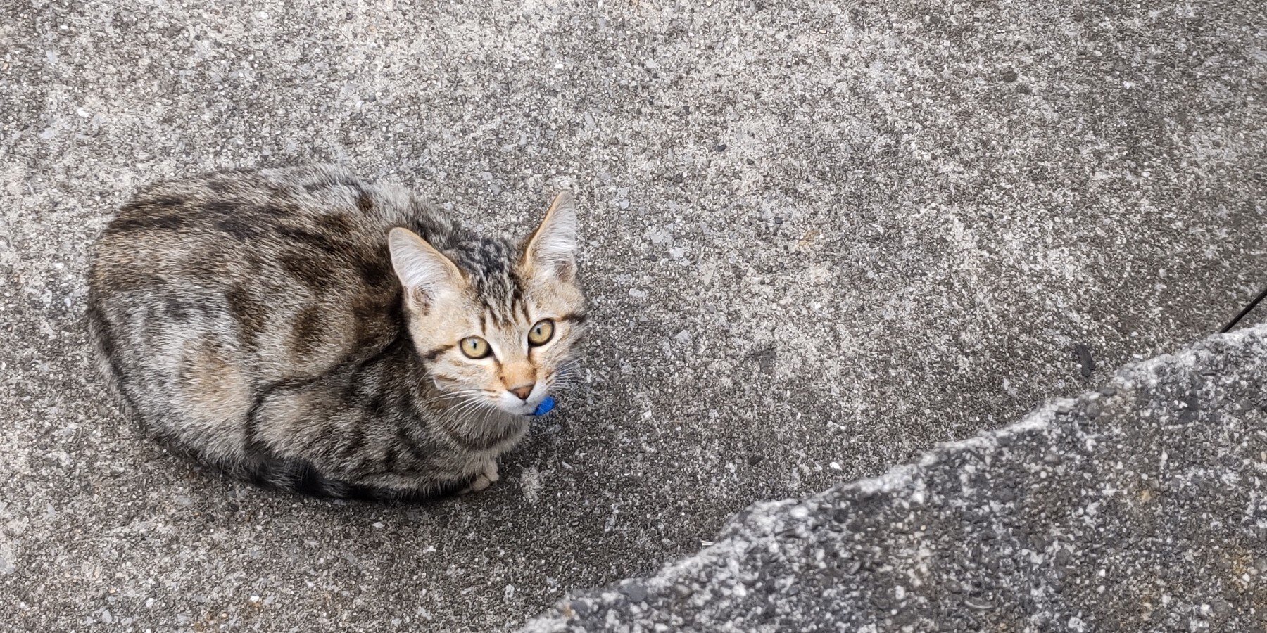 アニメ｜workma｜note