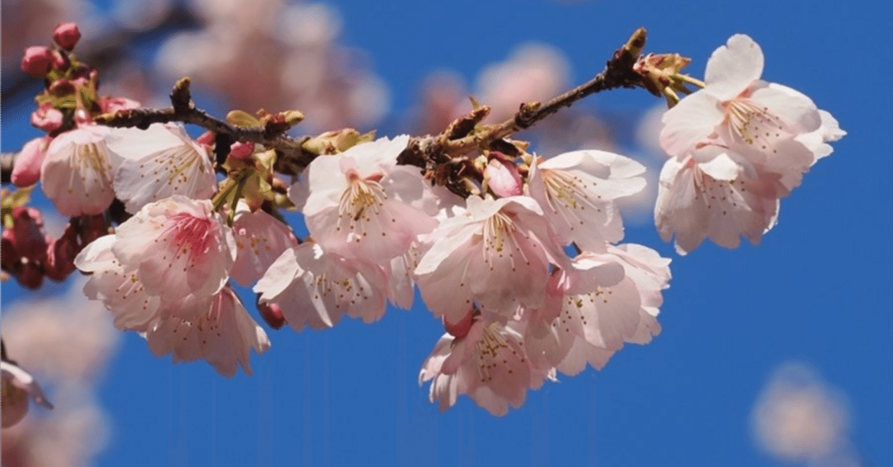 教育の答え合わせは、数年後にやってくる｜Tatsuro Sugi | 医療・介護 × 教育 × DX