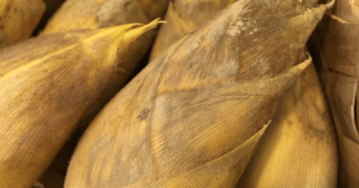 BS4K｜辻俊彦@SBA