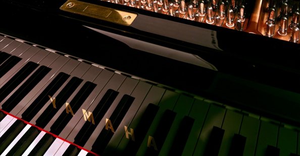 椎葉大翼 / Daisuke Shiiba｜note