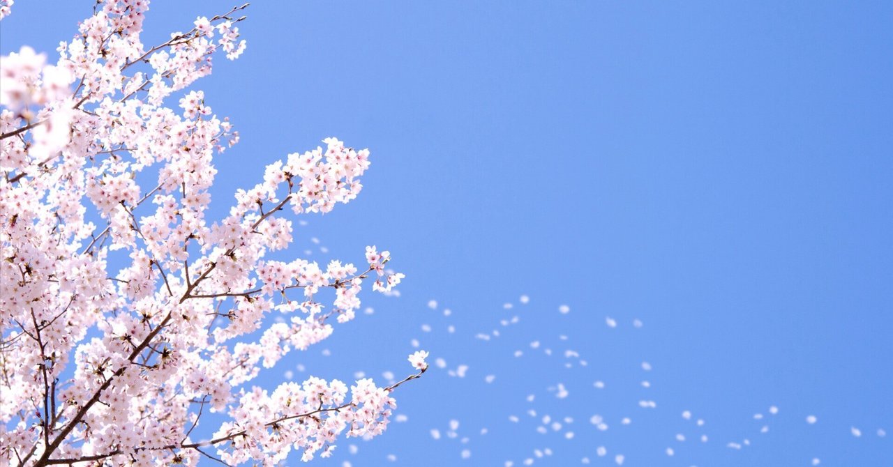 【ランニング】東京での30km走と京都でのハーフ走：2025年3月30日〜4月5日｜塩川 太嘉朗 | キャリア研究 | 人材開発マネジャー | 市民ランナー