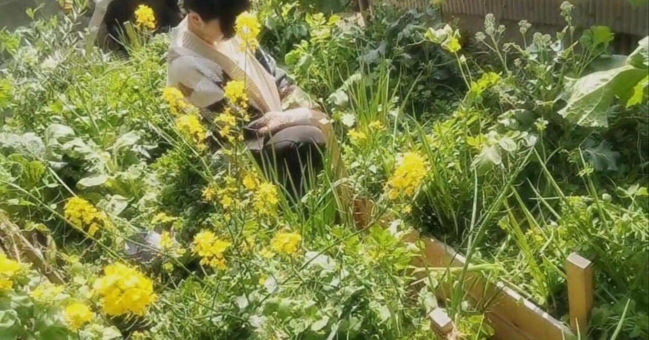 自己紹介｜HAZUKI