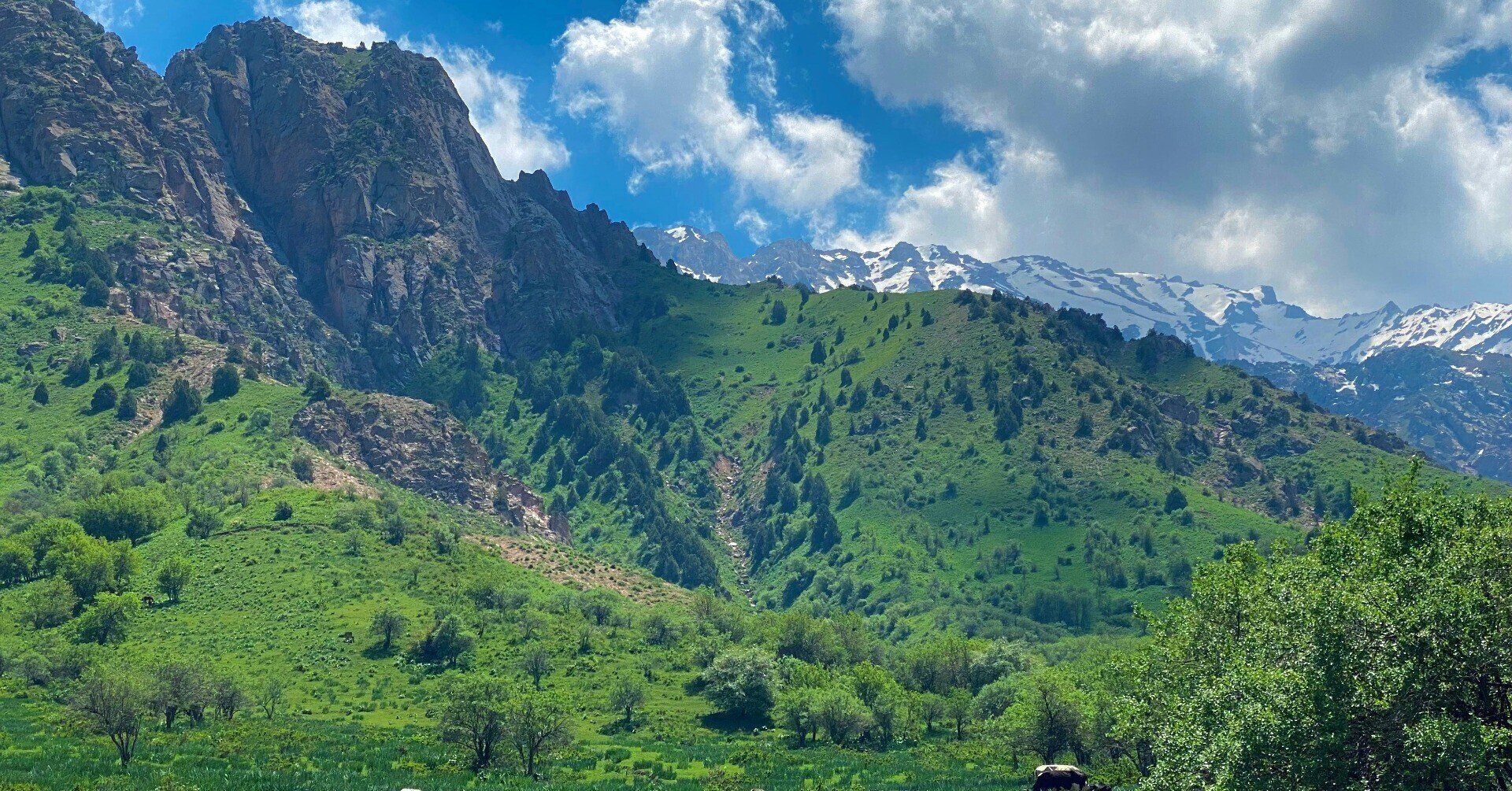 Toshi Yamanaka （山中俊之）｜note