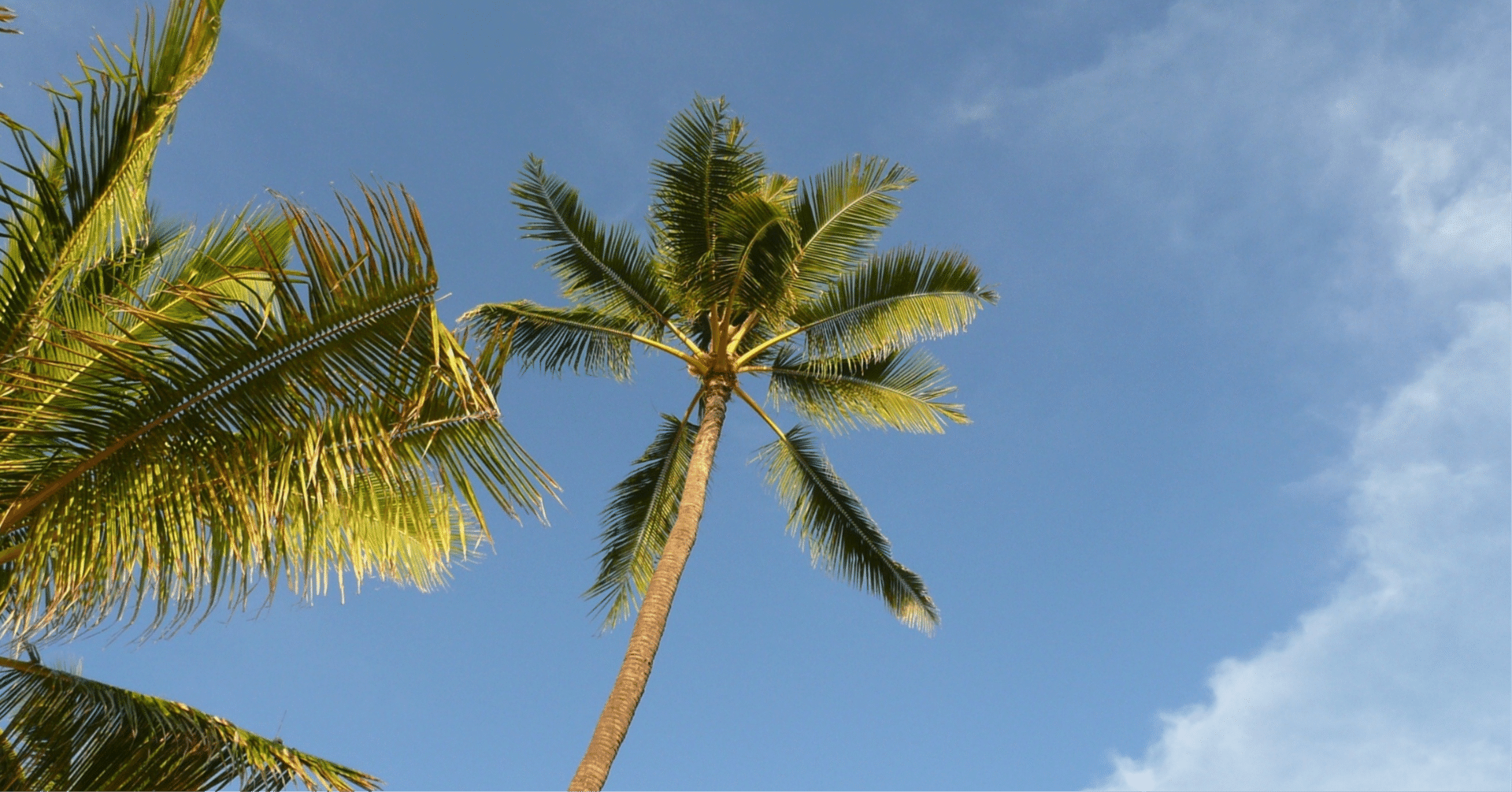 恋愛サポートルーム by Yuzuki｜note