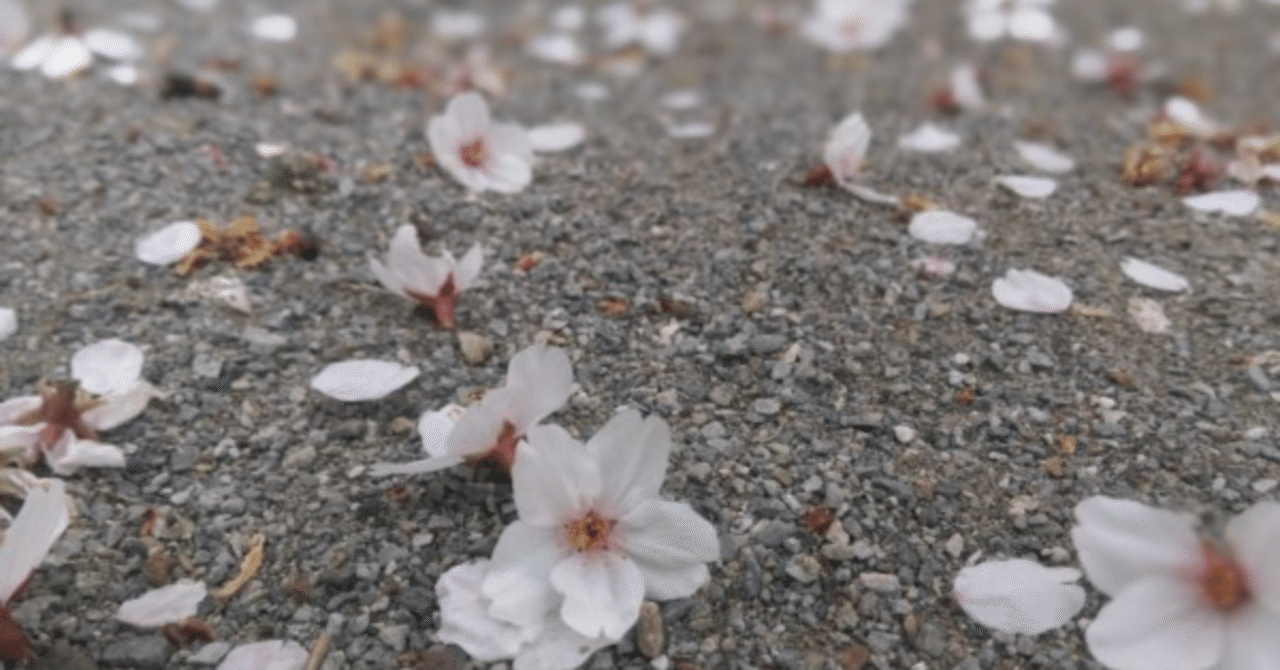 人生の岐路に｜春原美桜(miosuhara)