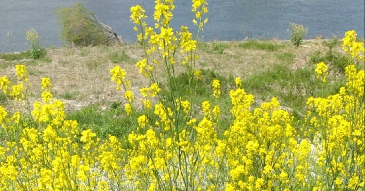 ちょっとブレイク｜tabi-book-color(キャロライン）